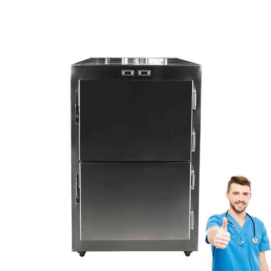 Roundfin Morgue Corpse Refrigerator 2-3 Bodies Side Open Door Style ...